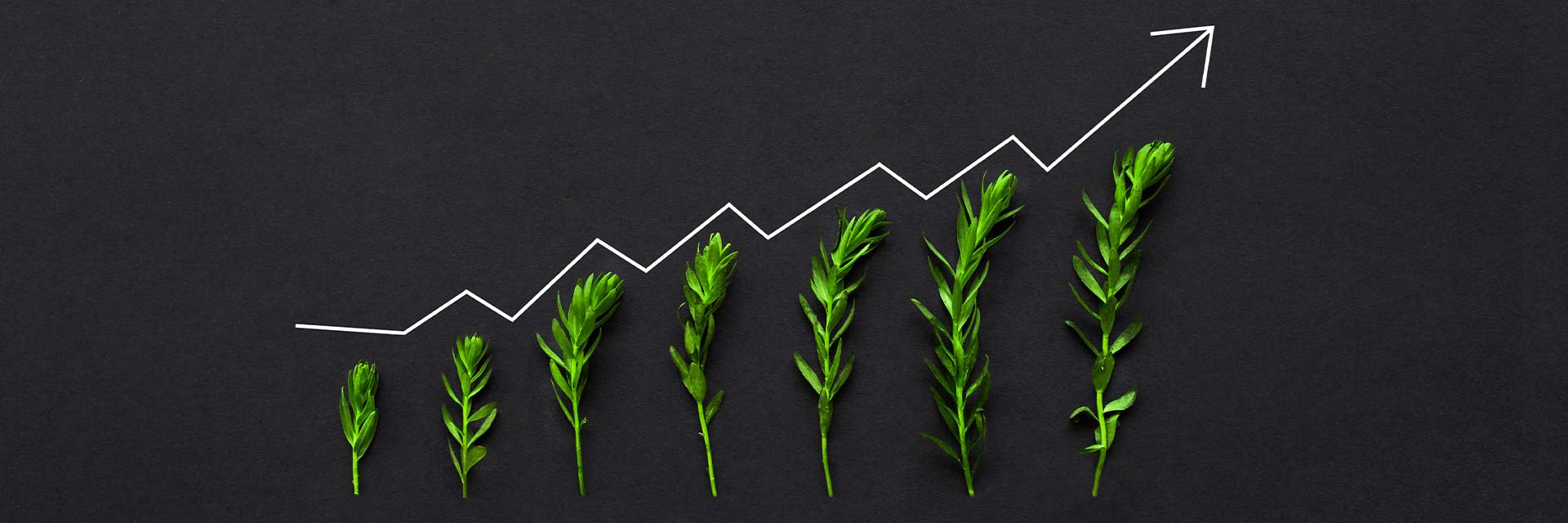 Understanding the Potential of SAP Native Automation- An Advanced ...